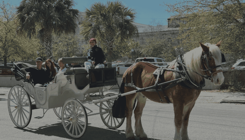 Charleston, SC: Private Evening Horse & Carriage Tour - What to Expect During the Tour