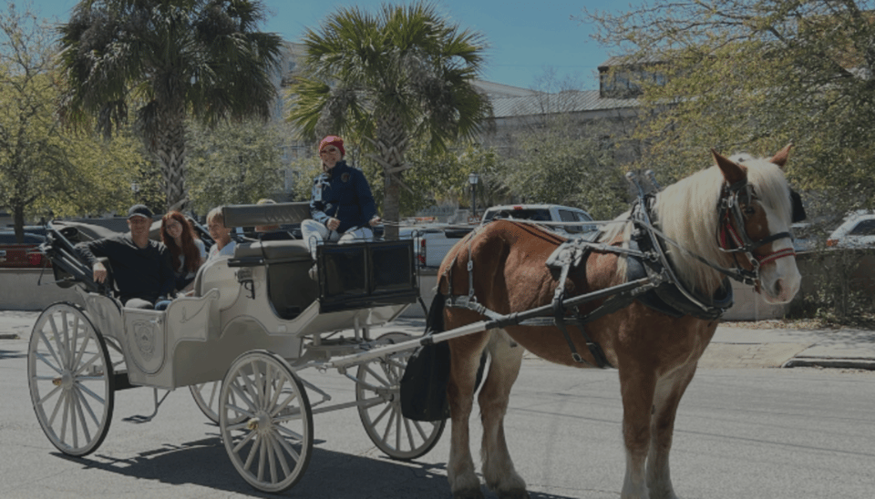 Charleston, SC: Private Evening Horse & Carriage Tour - Who Would Love This Tour?