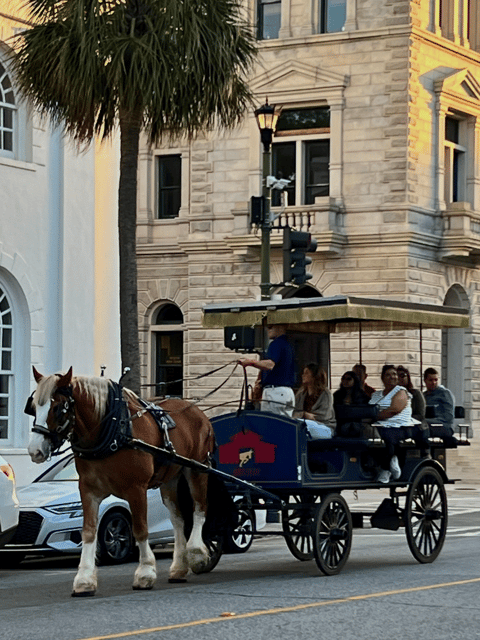 Charleston, SC: Private Evening Horse & Carriage Tour - FAQ