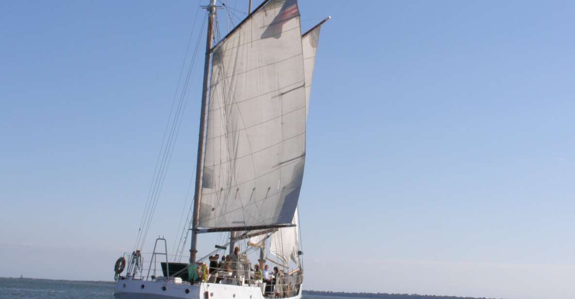 Charleston: Schooner Sailing Harbor Tour & Dolphin Watch - A Closer Look at the Charleston Schooner Experience