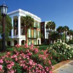 Charleston See-It-All Sightseeing Bus Tour - Who Will Love This Tour?