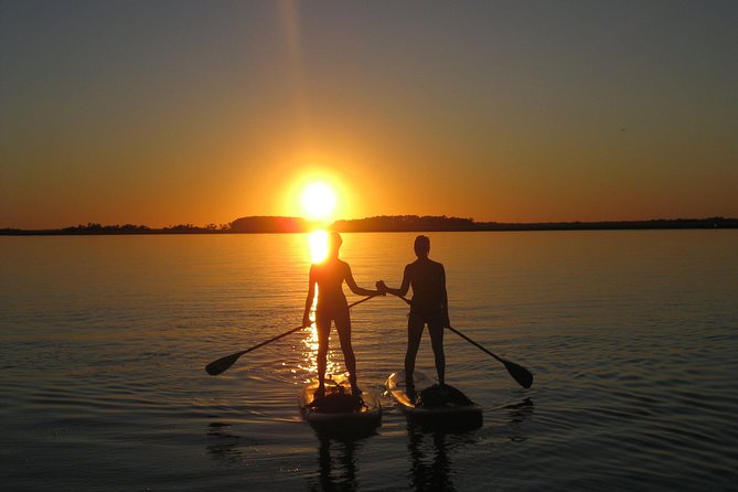 Charleston Stand-Up Paddleboard Eco Tour - Practical Details and Facilities