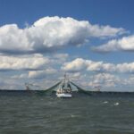 Charleston: Sunset Harbor Cruise - A Complete Look at the Charleston Sunset Harbor Cruise