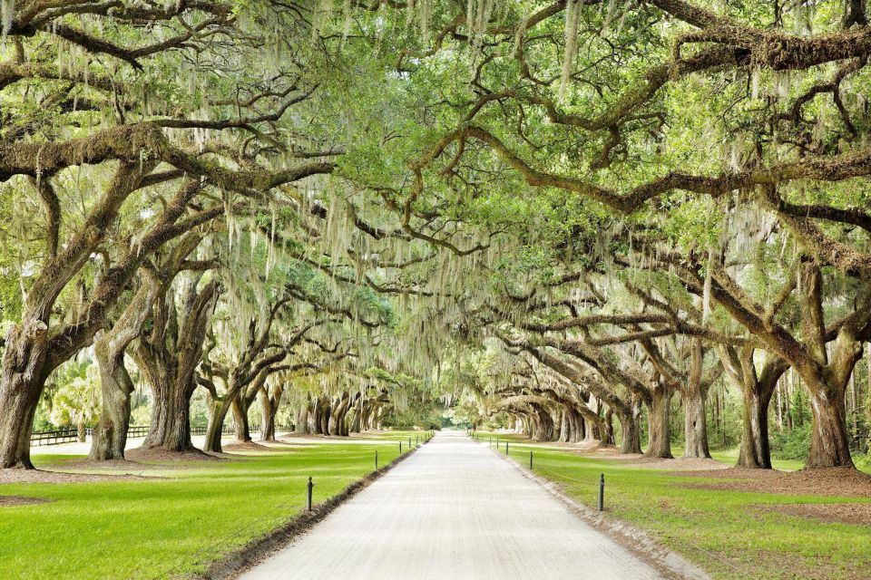 Charleston: Tour Pass with 40+ Attractions - Key Points