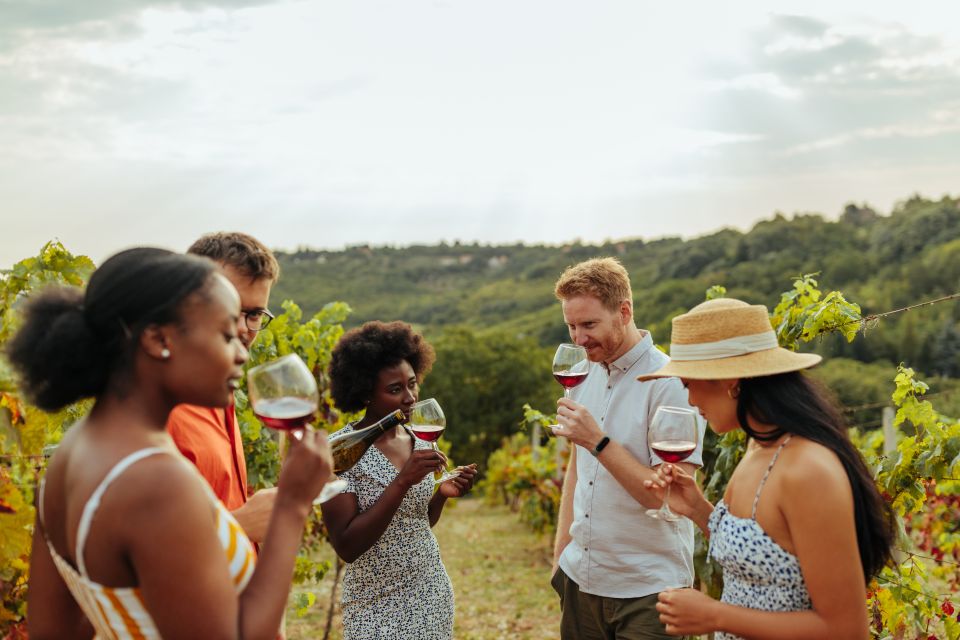 Charleston: Wadmalaw Island Wine Tasting and Tea Garden Trip - Charleston Tea Garden: A Vast Oasis of Tea Bushes