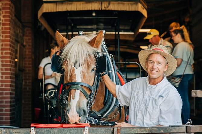 Charlestons Old South Carriage Historic Horse & Carriage Tour - The Experience: A Stroll Through Charleston’s Historic Streets