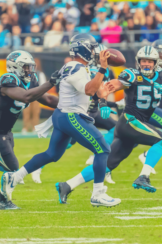 Charlotte: Panthers Football Game at Bank of America Stadium - Key Points