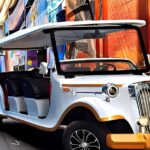 Charlotte:Historical Southern Elegance Tour by Vintage Cart - The Experience: What You Can Expect