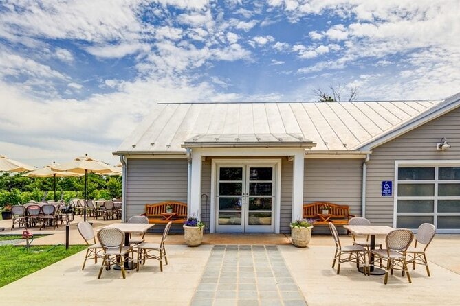 Charlottesville: Best Vineyards Private Tour (Up to 14 people) - Charlottesville: Best Vineyards Private Tour (Up to 14 people) — A Full Review