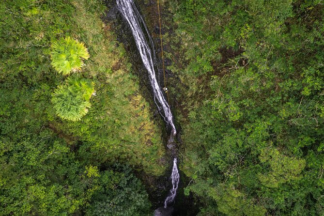 Chasing Waterfalls:Wild Hawaii Rappelling - An In-Depth Look at the Waterfall Rappelling Tour