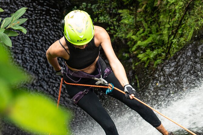 Chasing Waterfalls:Wild Hawaii Rappelling - Final Thoughts: Is It Worth It?