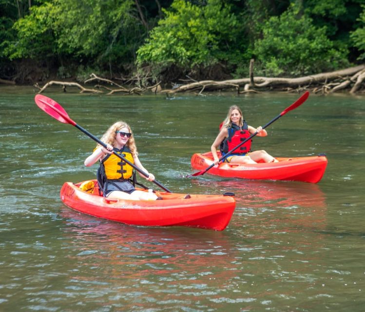 Chattahoochee Roswell: Single Kayak Rental - An Introduction to the Chattahoochee Kayaking Experience