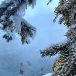Chena Hot Spring Day Tour - Who should consider this tour?