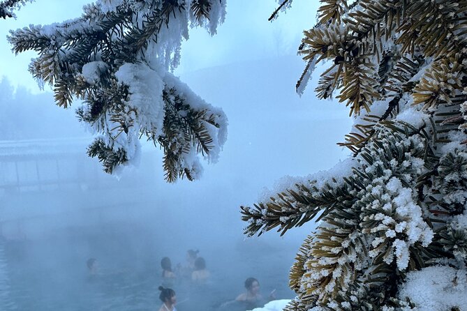 Chena Hot Spring Day Tour - Who should consider this tour?