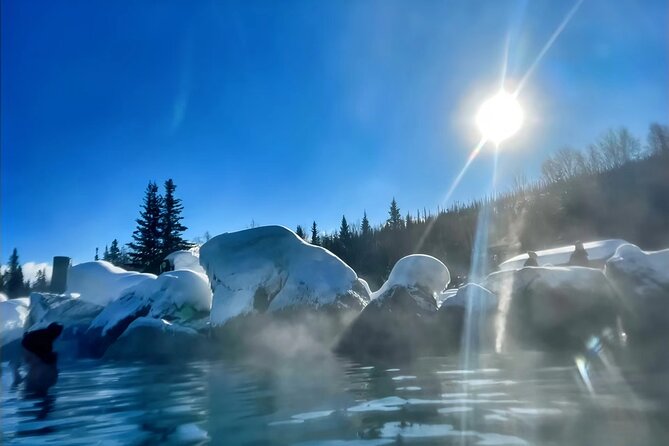 Chena Hot Spring Day Tour - The Sum Up