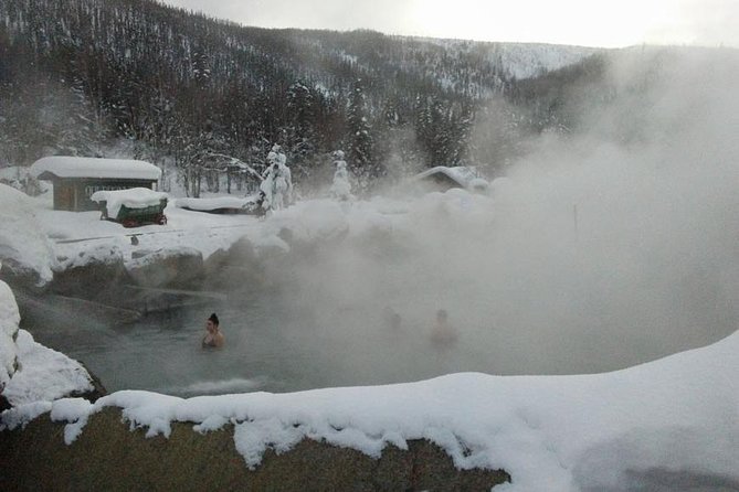 Chena Hot Springs Aurora Tour - Key Points