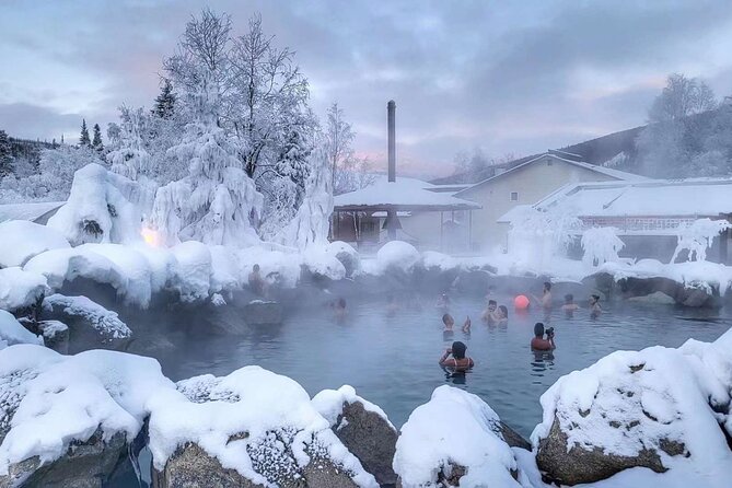 Chena Hot Springs Day Tour with transportation - Visiting the Ice Museum