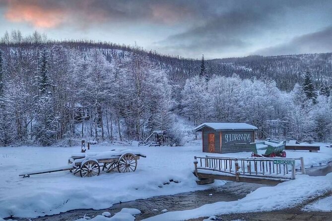 Chena Hot Springs Day Tour with transportation - Practical Aspects: Pricing, Duration, and Group Size