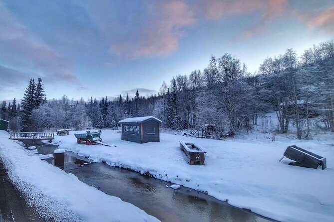 Chena Hot Springs Day Tour with transportation - The Guide and Transportation Experience