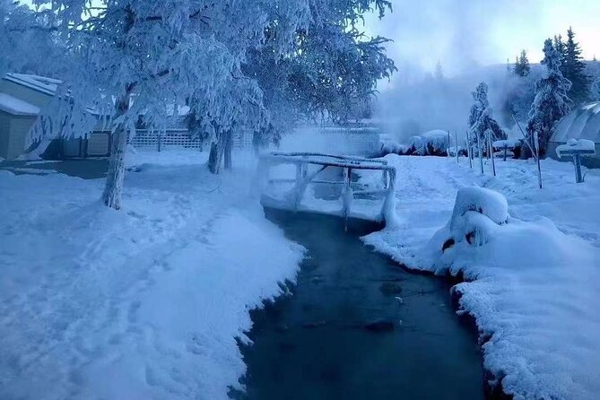Chena Hot Springs Day Tour with transportation - Who Should Consider This Tour?