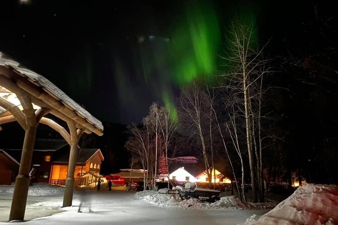 Chena Hot Springs Round Trip Tour - Looking at the Details: Is It Worth the Price?