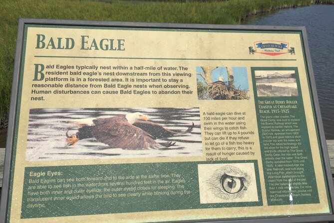 Chesapeake Beach Guided Walking Tour - Railway Trail - Key Points