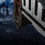 Cheyenne: Rodeo Ghosts Haunted Walking Tour - Who Should Consider This Tour?