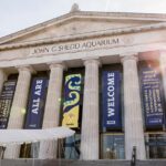 Chicago Attractions Pass: Save up to 50% - Includes 360 CHICAGO - Real Experiences from Travelers
