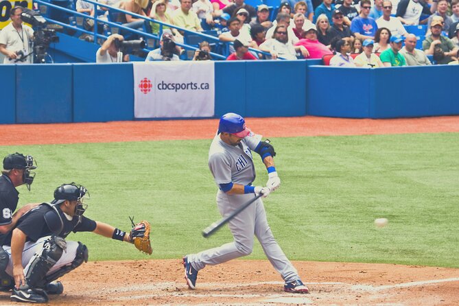 Chicago Cubs Baseball Game Ticket at Wrigley Field - Who Will Love This Tour?