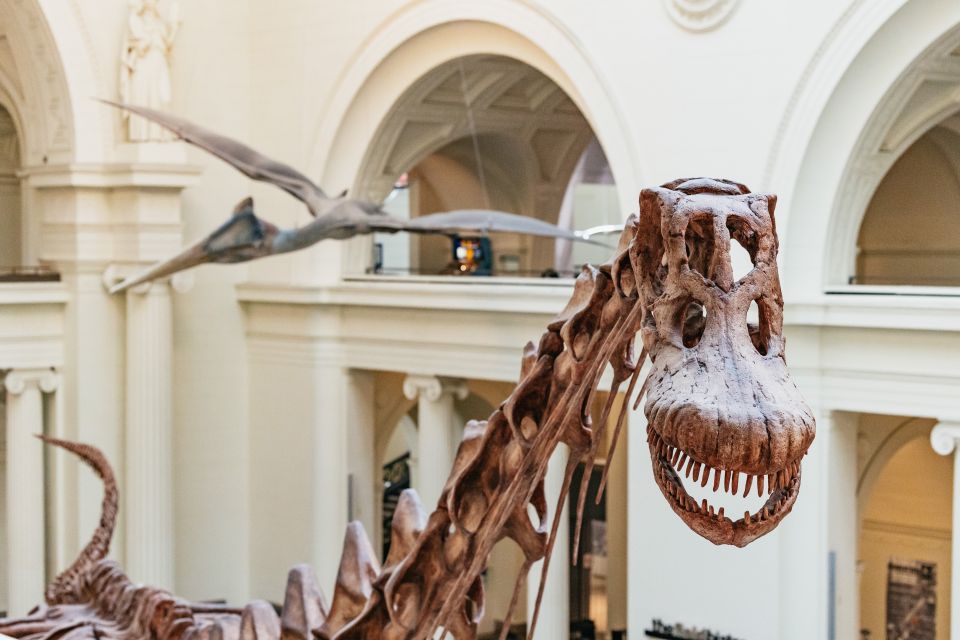 Chicago: Field Museum of Natural History Ticket or VIP Tour - Exploring the Chicago: Field Museum of Natural History Ticket or VIP Tour
