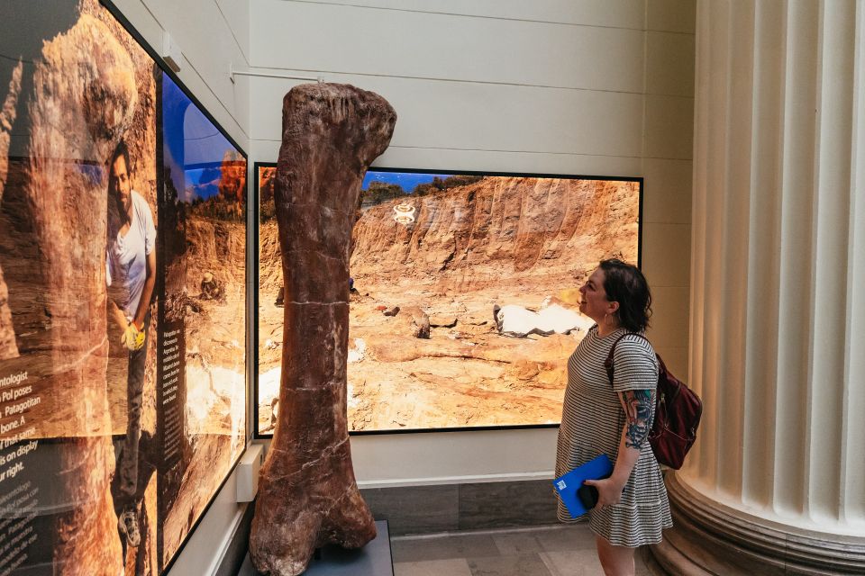 Chicago: Field Museum of Natural History Ticket or VIP Tour - What to Expect at the Field Museum