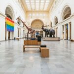 Chicago: Field Museum of Natural History Ticket or VIP Tour - Deep Dive into the Experience
