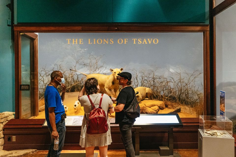 Chicago: Field Museum of Natural History Ticket or VIP Tour - Who Will Love This Experience?