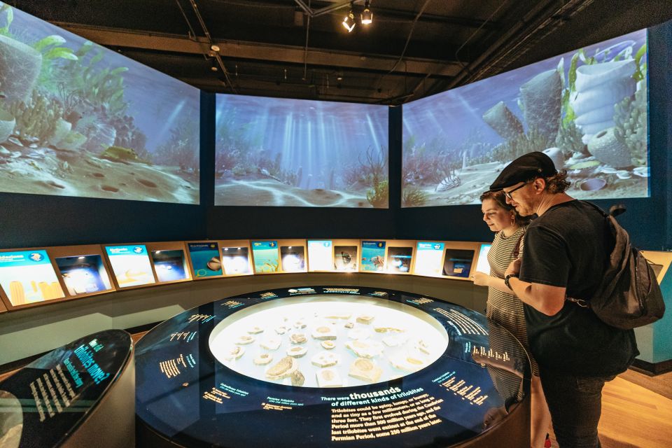 Chicago: Field Museum of Natural History Ticket or VIP Tour - Final Thoughts