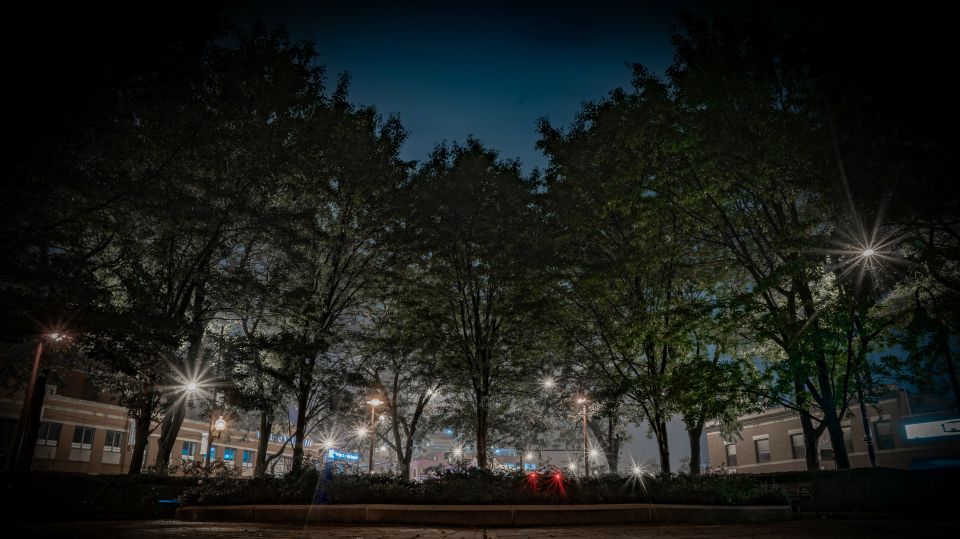 Chicago: Ghosts & Hauntings of the Windy City Walking Tour - Final Thoughts