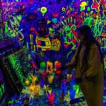 Chicago Shot Of Art After Dark - Authentic Experiences and Review Insights