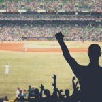 Chicago White Sox Baseball Game Ticket at Guaranteed Rate Field - Practical Considerations