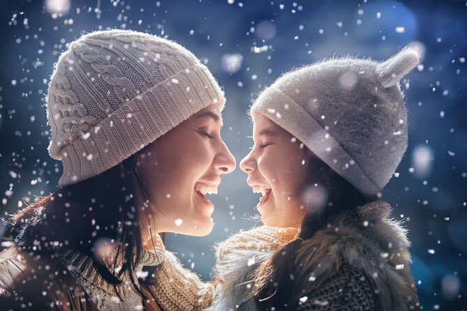 Chicagos Festive Lights: A Magical Christmas Journey - Is This Tour Right for You?