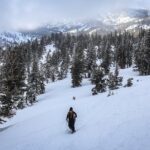 Chickadee Ridge Beginner Snowshoe Activity - Why This Tour Stands Out