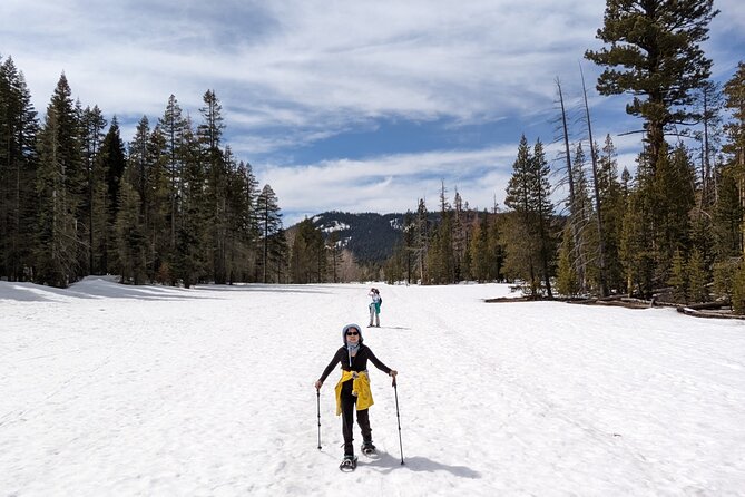 Chickadee Ridge Beginner Snowshoe Activity - Who Is This Tour Best For?