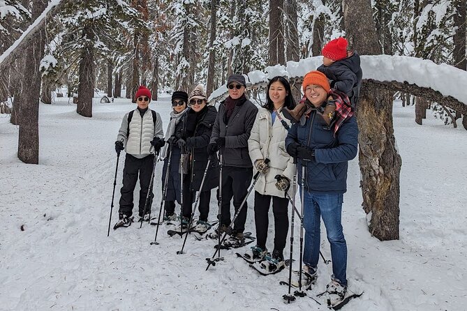 Chickadee Ridge Beginner Snowshoe Activity - The Sum Up
