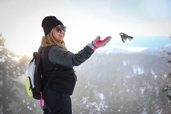 Chickadee Ridge Beginner Snowshoe Activity - FAQ