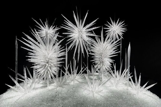 Chihuly Garden and Glass in Seattle Ticket - FAQ