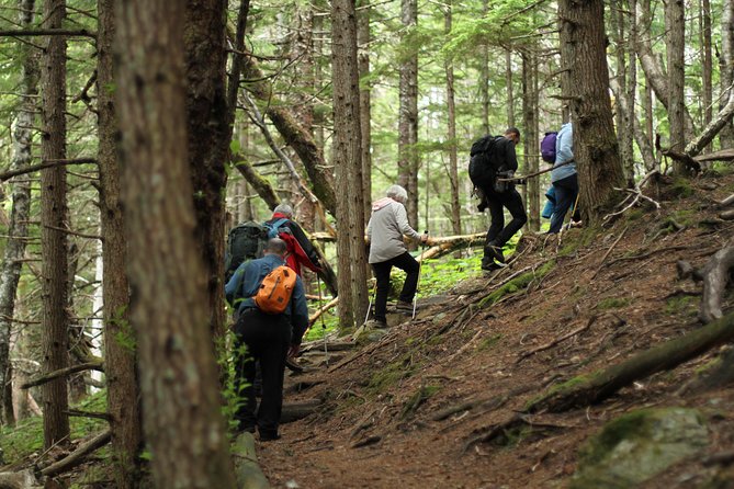 Chilkat Inlet Coastal Hike in Haines - Meta Description  