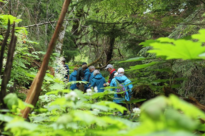 Chilkat Inlet Coastal Hike in Haines - Key Points