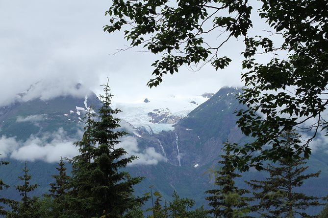 Chilkat Inlet Coastal Hike in Haines - Exploring the Chilkat Inlet Coastal Hike