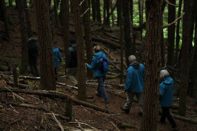 Chilkat Inlet Coastal Hike in Haines - Practical Details: What You Need to Know