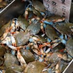 Chinatown Food Tour with a Chef in Manhattan - Why This Tour Is Worth Considering