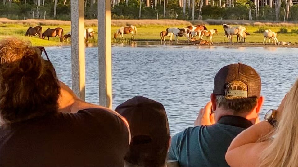 Chincoteague: Assateague Island Sunset Boat Cruise - Breakdown of the Itinerary