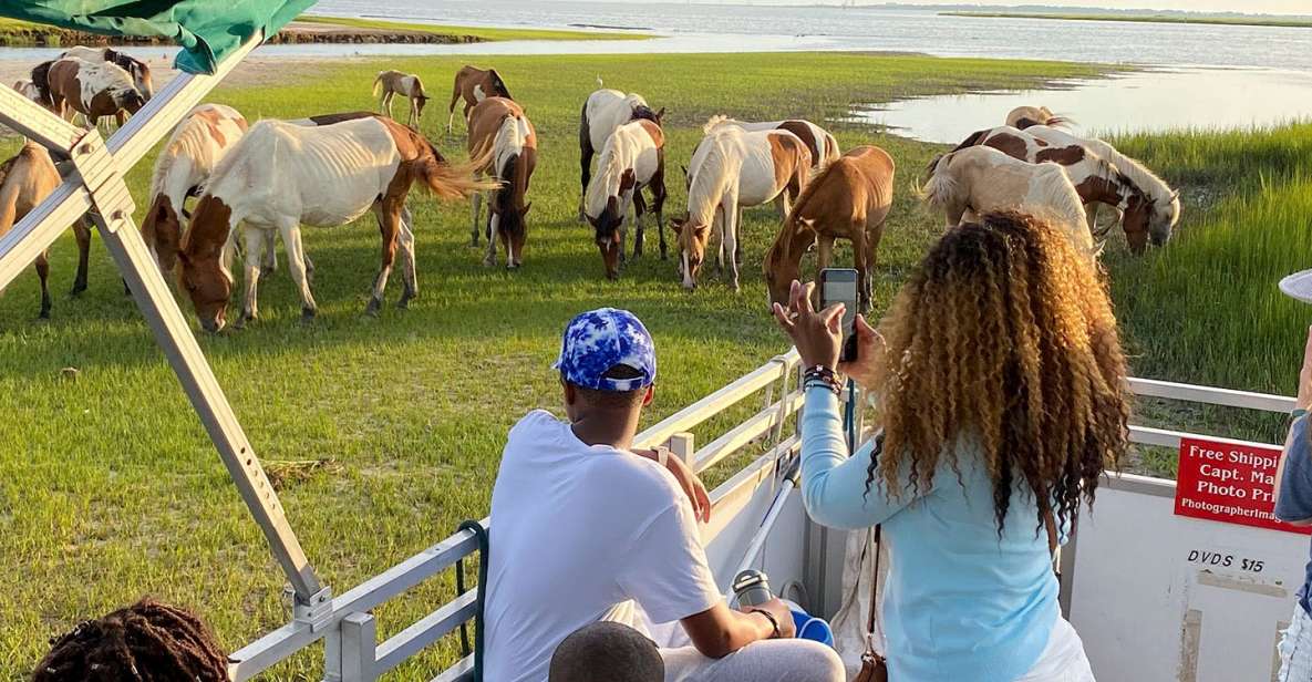 Chincoteague: Assateague Island Sunset Boat Cruise - Who Should Consider This Tour?